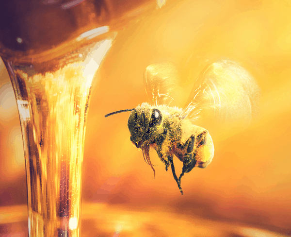 The Science of Bees | eBees™ - Learning Solutions